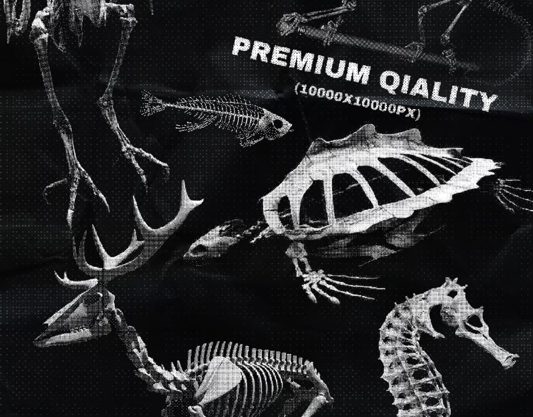 Top 10 Most Popular French Streamers on Twitch in 2024 – HYTRAPE